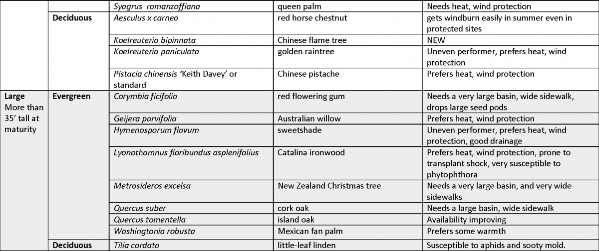 Recommended Street Tree and Plant Lists | Public Works