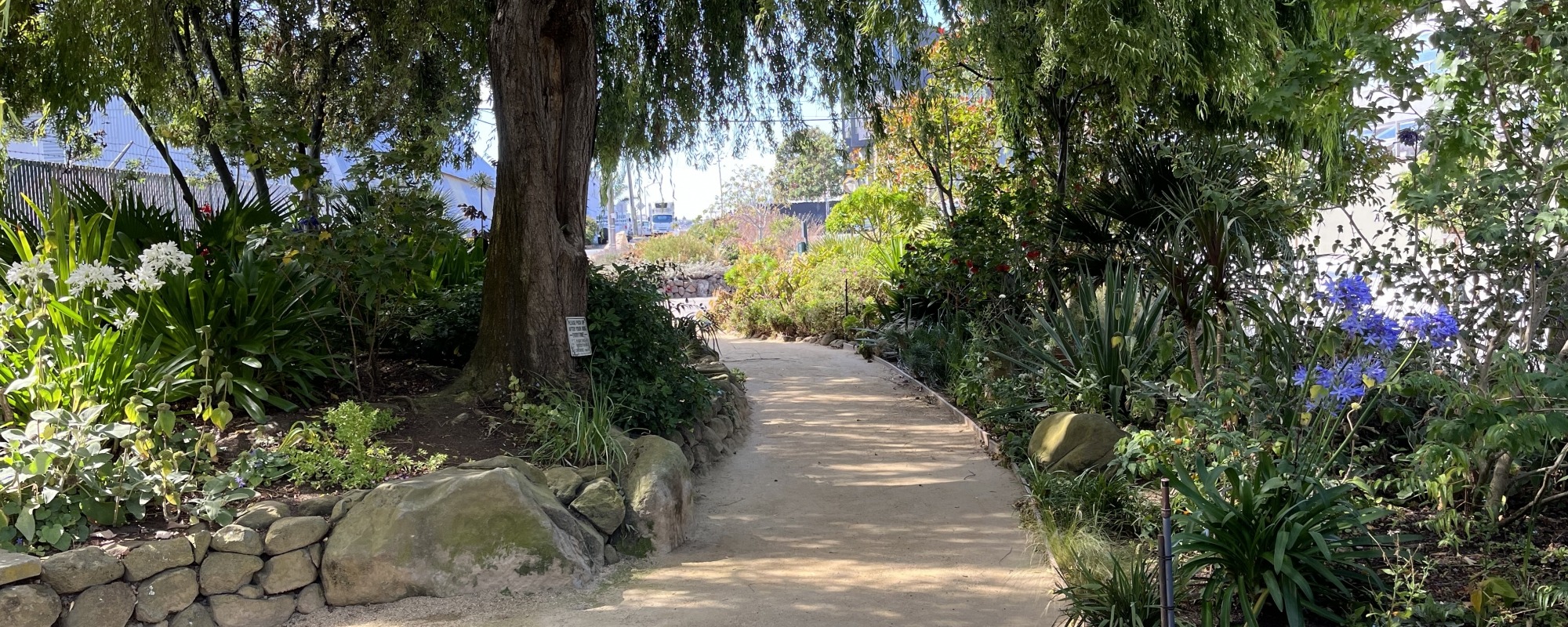 Minnesota Streetscape Improvements Project | Public Works